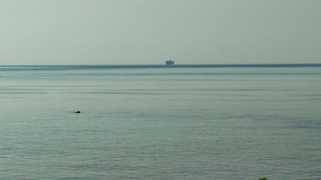 ReggioTV - Il raro fenomeno della Fata Morgana sullo Stretto di Messina ...