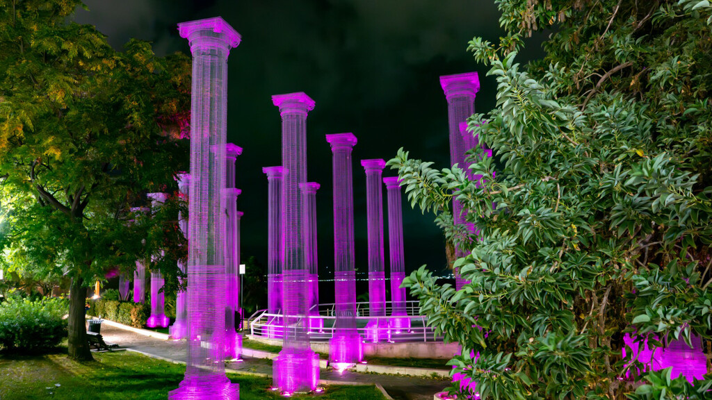 ReggioTV - Prematurità, a Reggio Calabria le colonne di "Opera" si ...