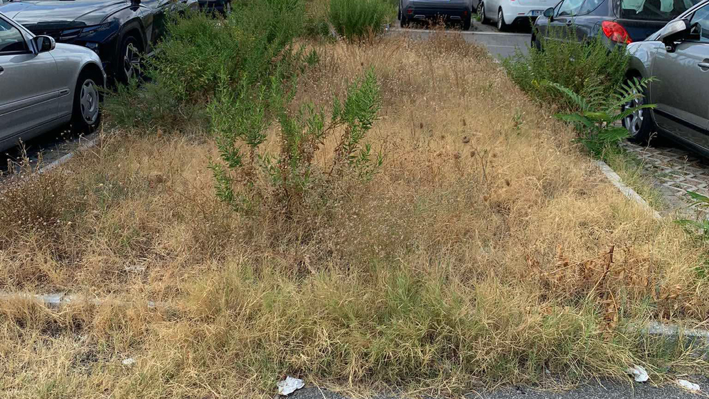 ReggioTV - Reggio Calabria: bellezza sullo Stretto, degrado sotto gli occhi